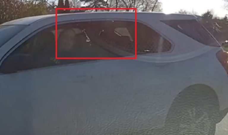 Manchester, NH: Driver Caught on Video Hocking Loogie At Motorist ...